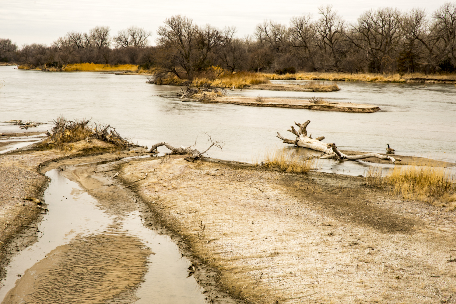 Platte River Timelapse – No Water No Life
