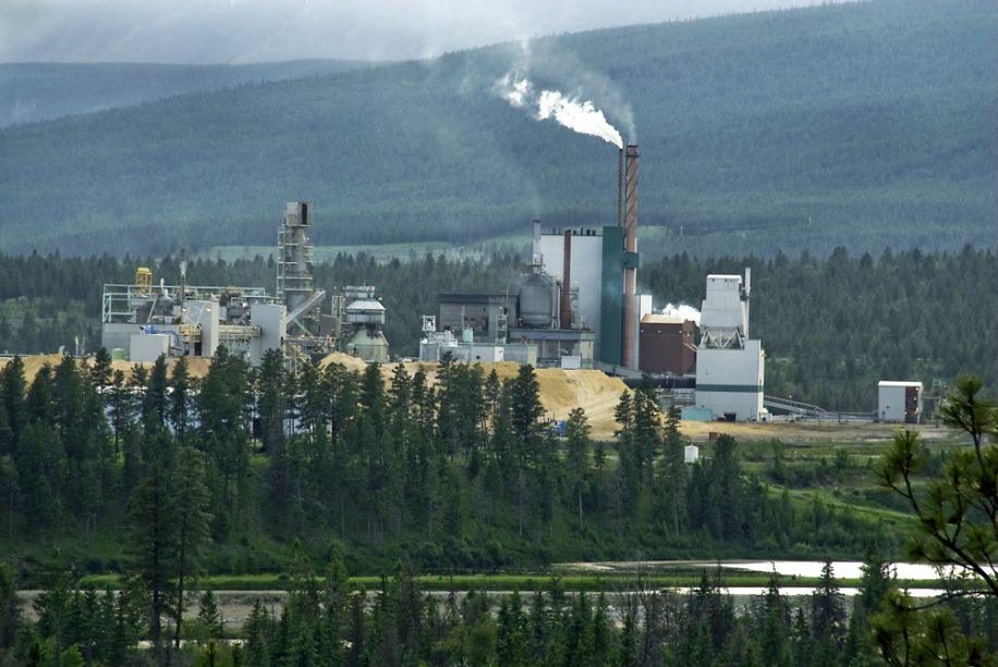 Wildsight in Canada’s Columbia Valley – No Water No Life