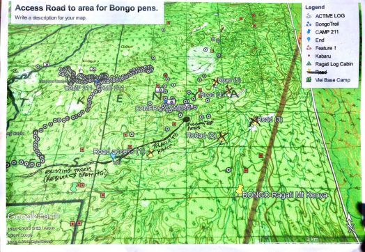 Bongos Save Forests – No Water No Life