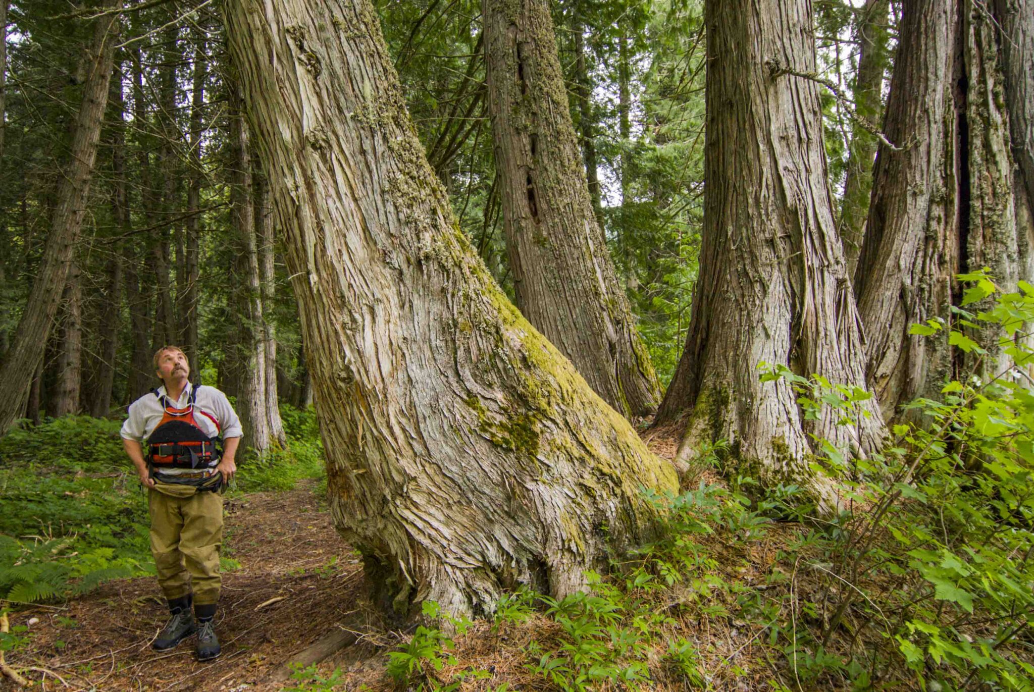 On Making a Chinook Canoe – No Water No Life