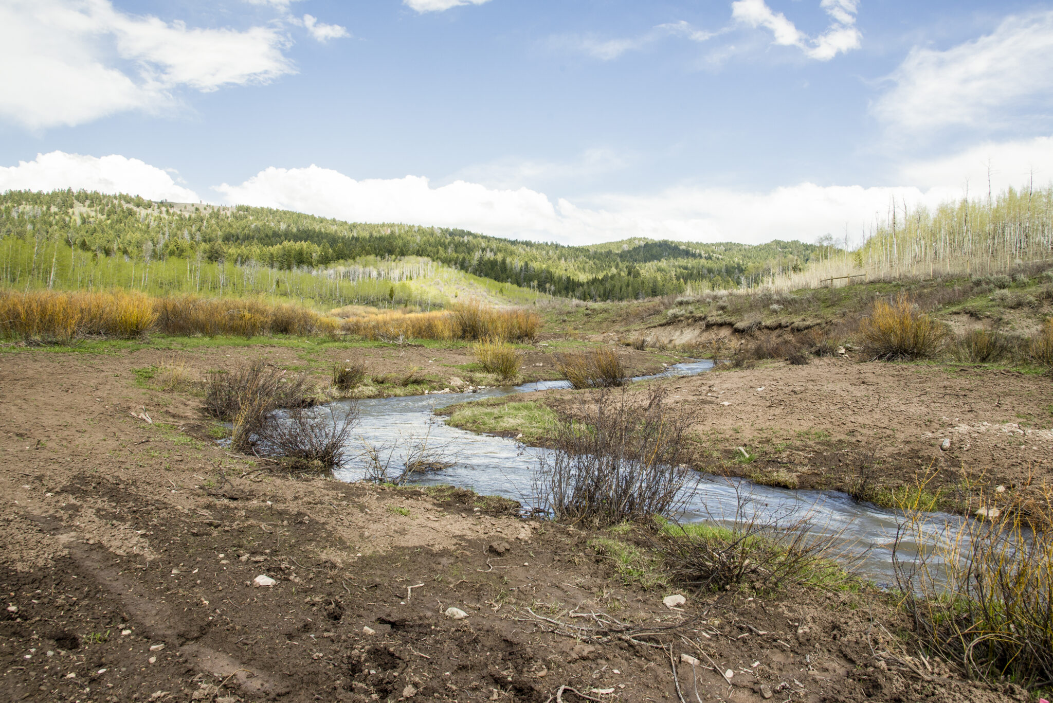 Restoring Idaho’s Blackfoot River Basin – No Water No Life